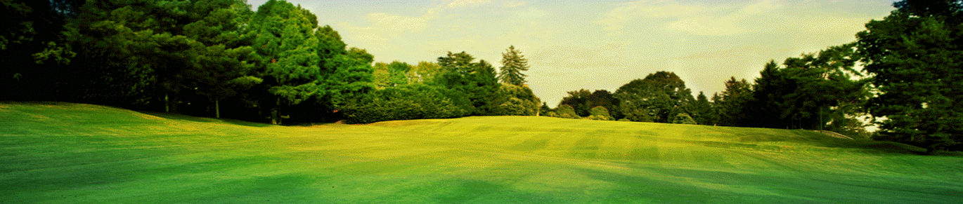 Tee Time Tees - The Ultimate Golf Tee – Tee Time Tee Shop